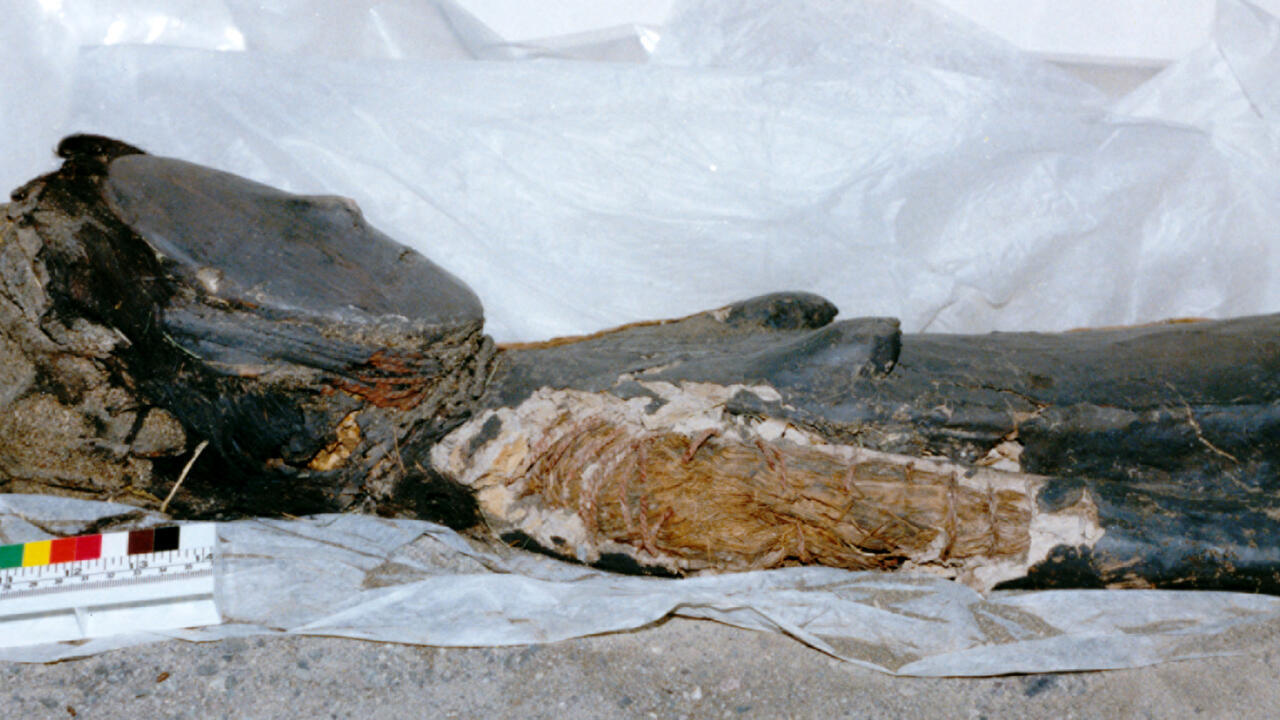 Chile's ancient mummies added to UN heritage list - France 24