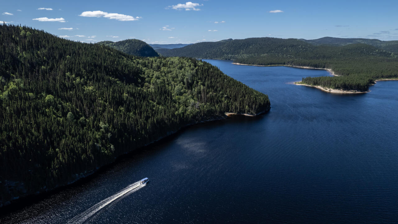 In Canada's boreal forest, one man works to save caribou