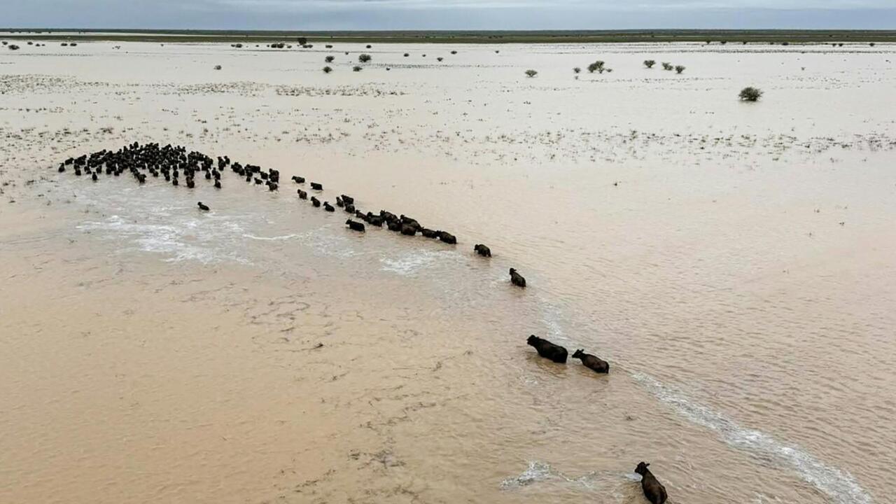 Australian PM to tour outback flood disaster zone