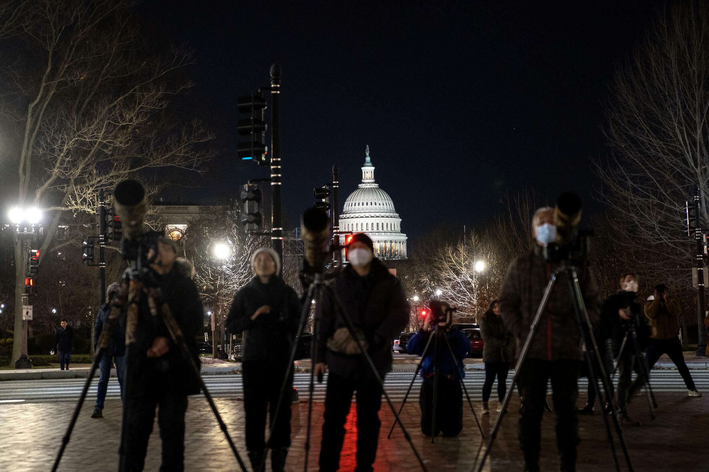 Birdwatchers flock for glimpse of rare snowy owl in US capital