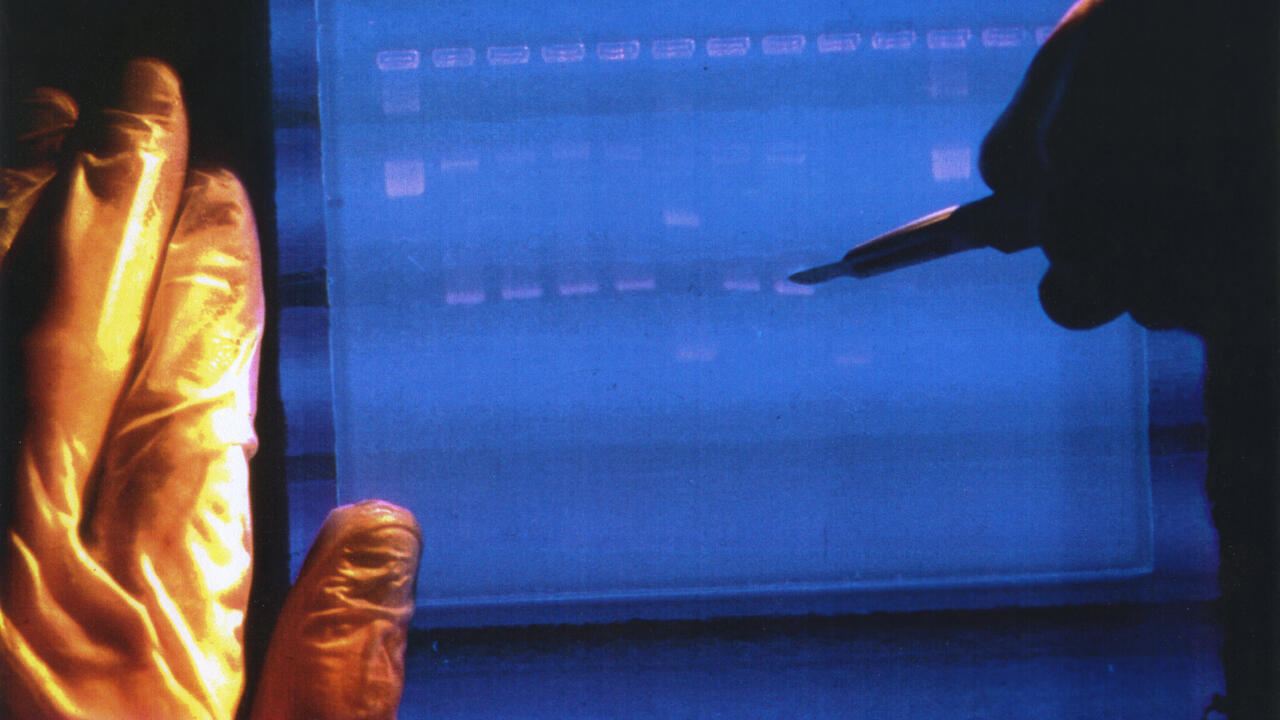 El nuevo pangenoma humano revela nuestra diversidad genética - Salud ...