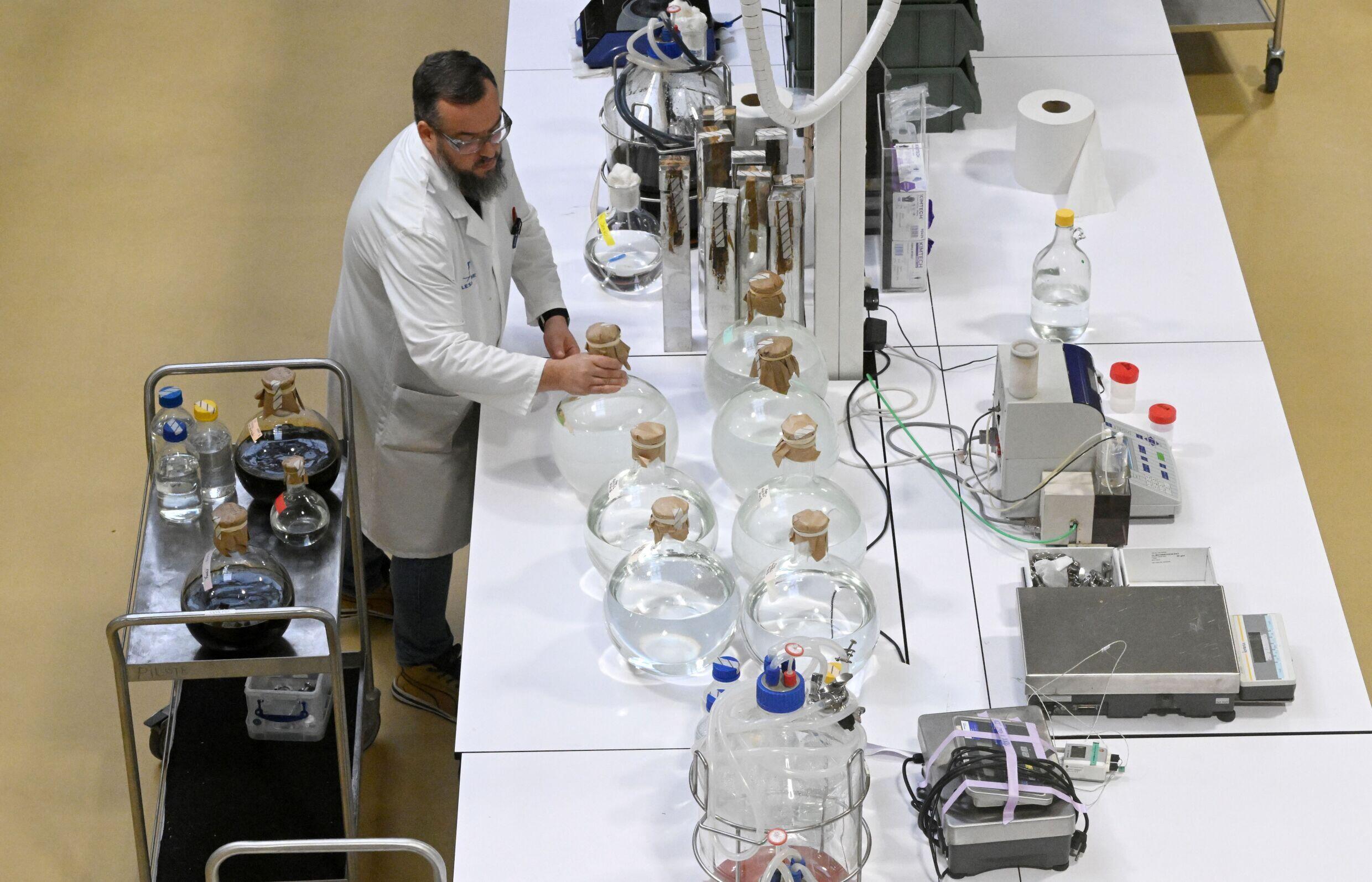 Innovation: la levure, de l'infiniment petit au campus géant de Lesaffre