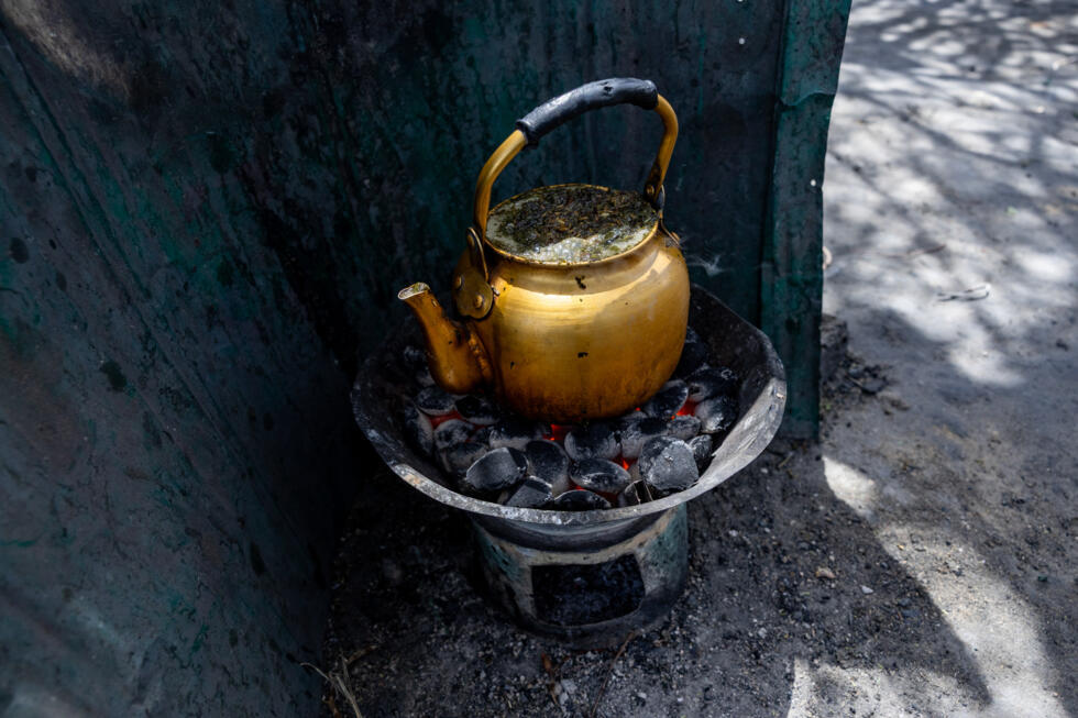 Chad hopes 'green charcoal' can save vanishing forests