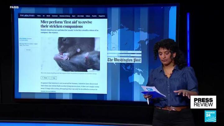 'The love child of Mick Hucknall and Crazy Frog': Meet Lumo, Eurovision ...