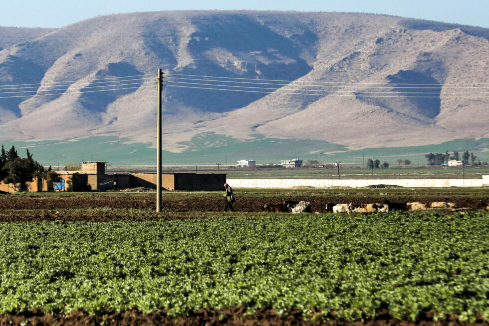 Syrian farmers abandon the land for steadier jobs