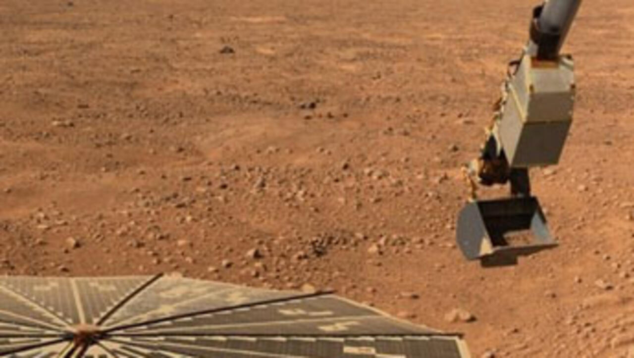 Martian soil good enough for asparagus