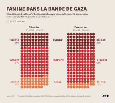 L'ONU déclare la famine à Gaza, après des mois de mise en garde - France 24
