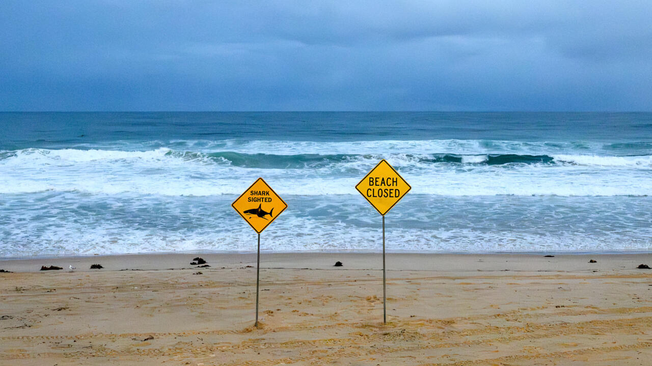 Shark bites surfer in Australian state's fourth attack in 48 hours