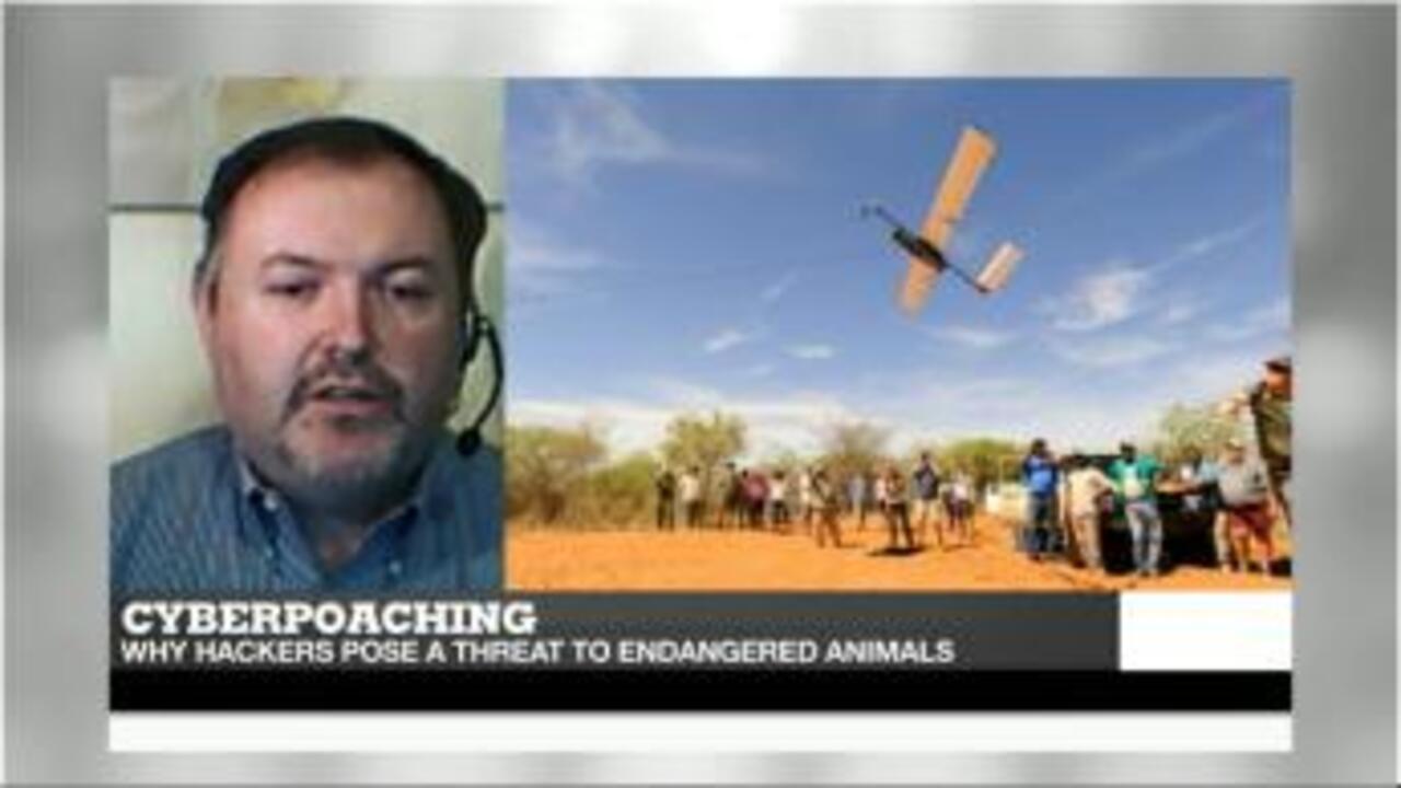 How technology helps the fight against wildlife crime - Tech 24