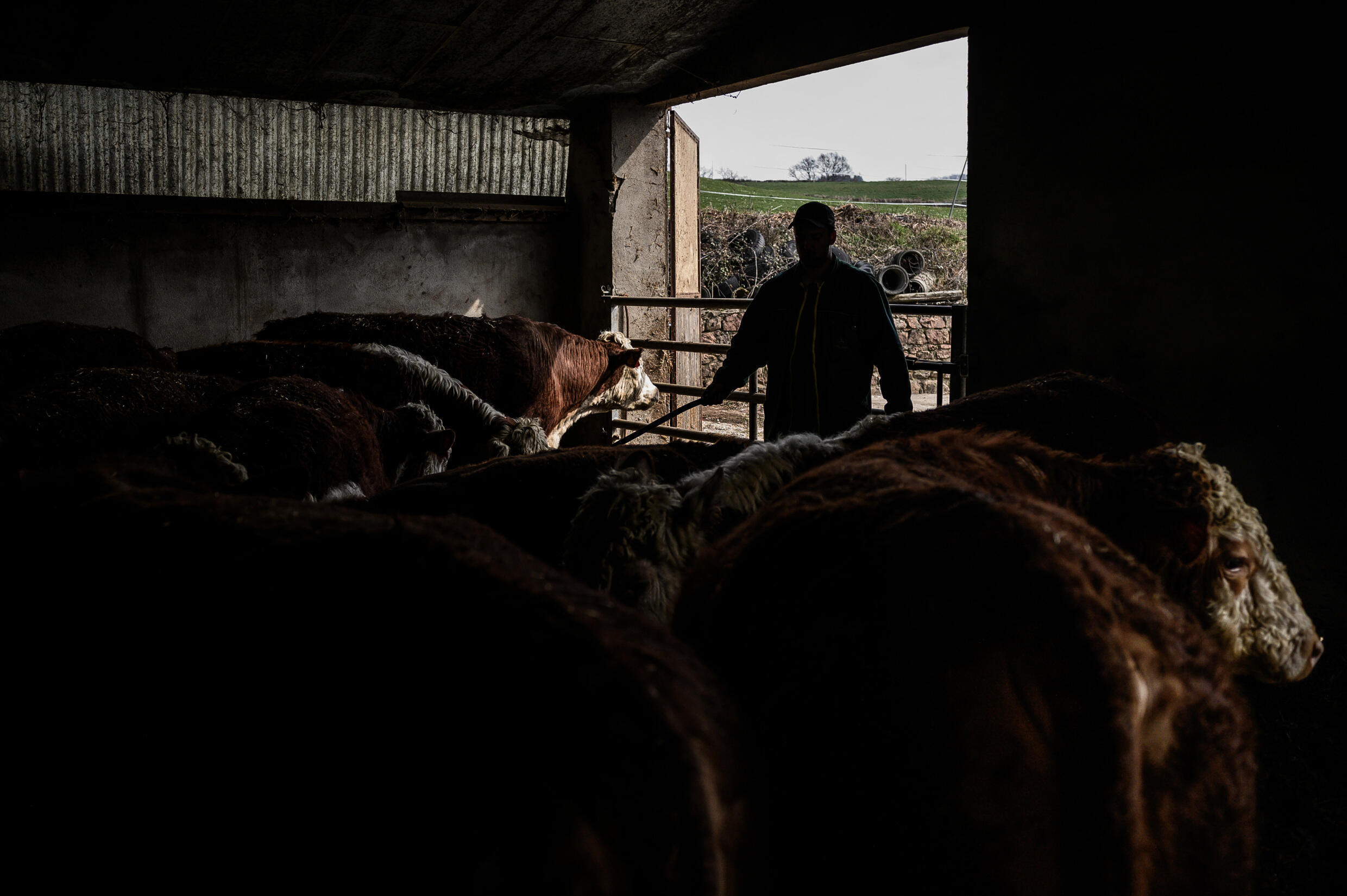 En Bourgogne, un abattoir mobile "prouve" qu'un élevage responsable est ...