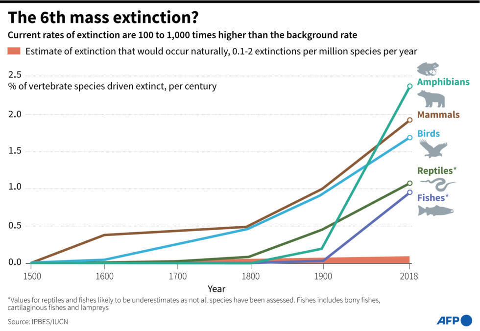 Extinction threat: world conservation meeting to show species in peril ...
