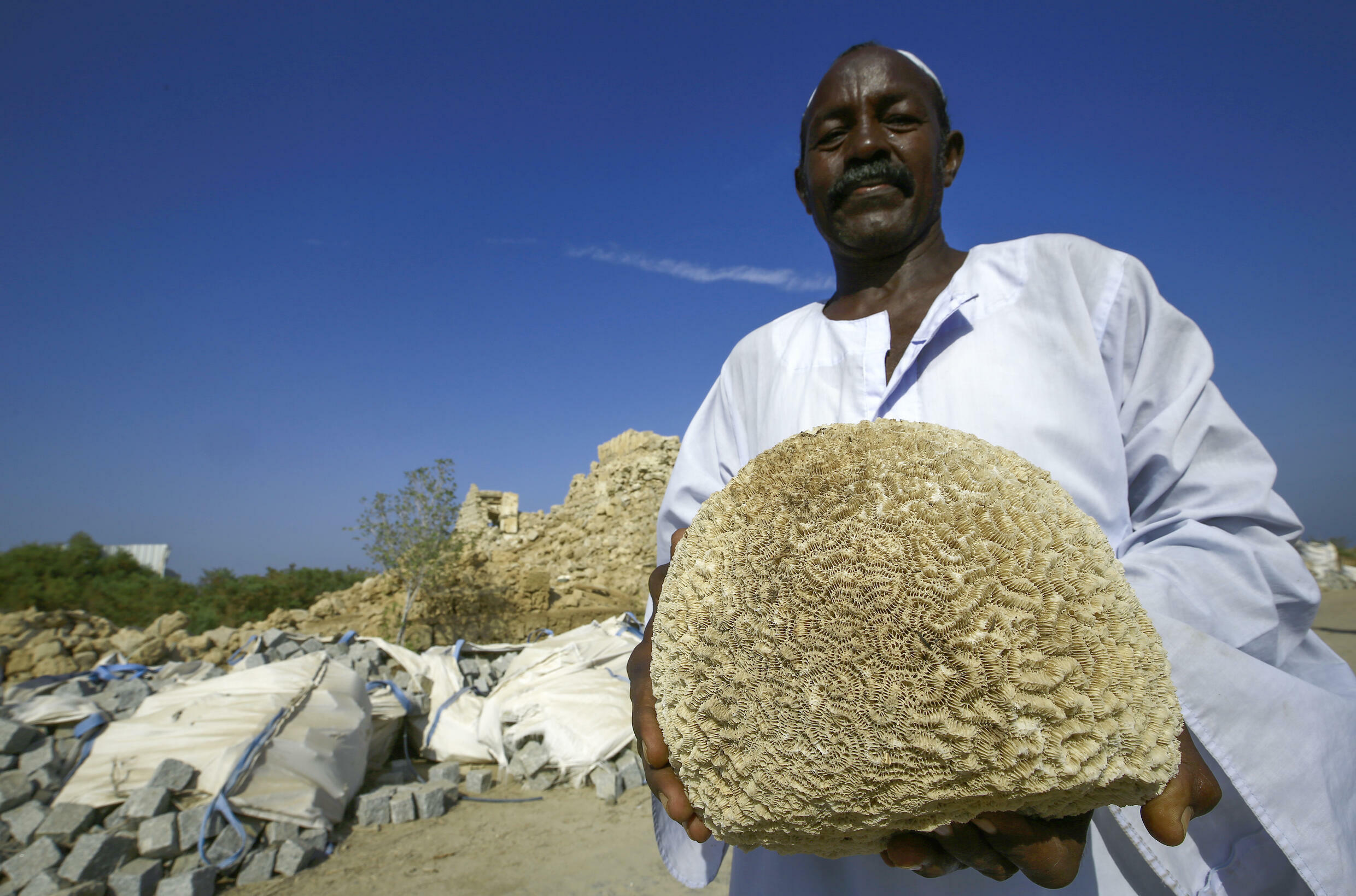 Sudan's key Red Sea ports coveted by regional powers - France 24