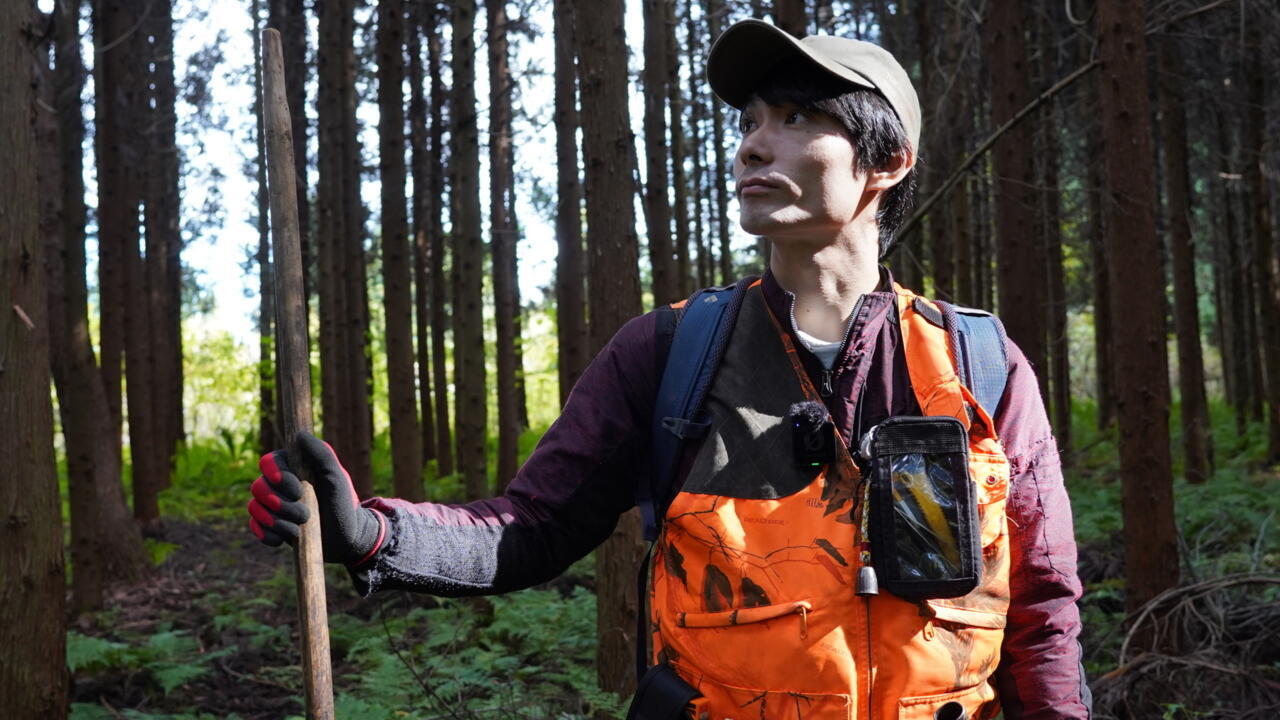 'Almost every day': Japan battles spike in bear attacks