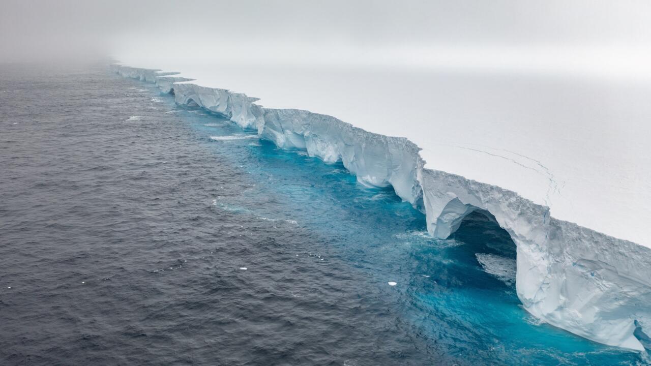 World's biggest iceberg runs aground, sparing crucial wildlife haven ...