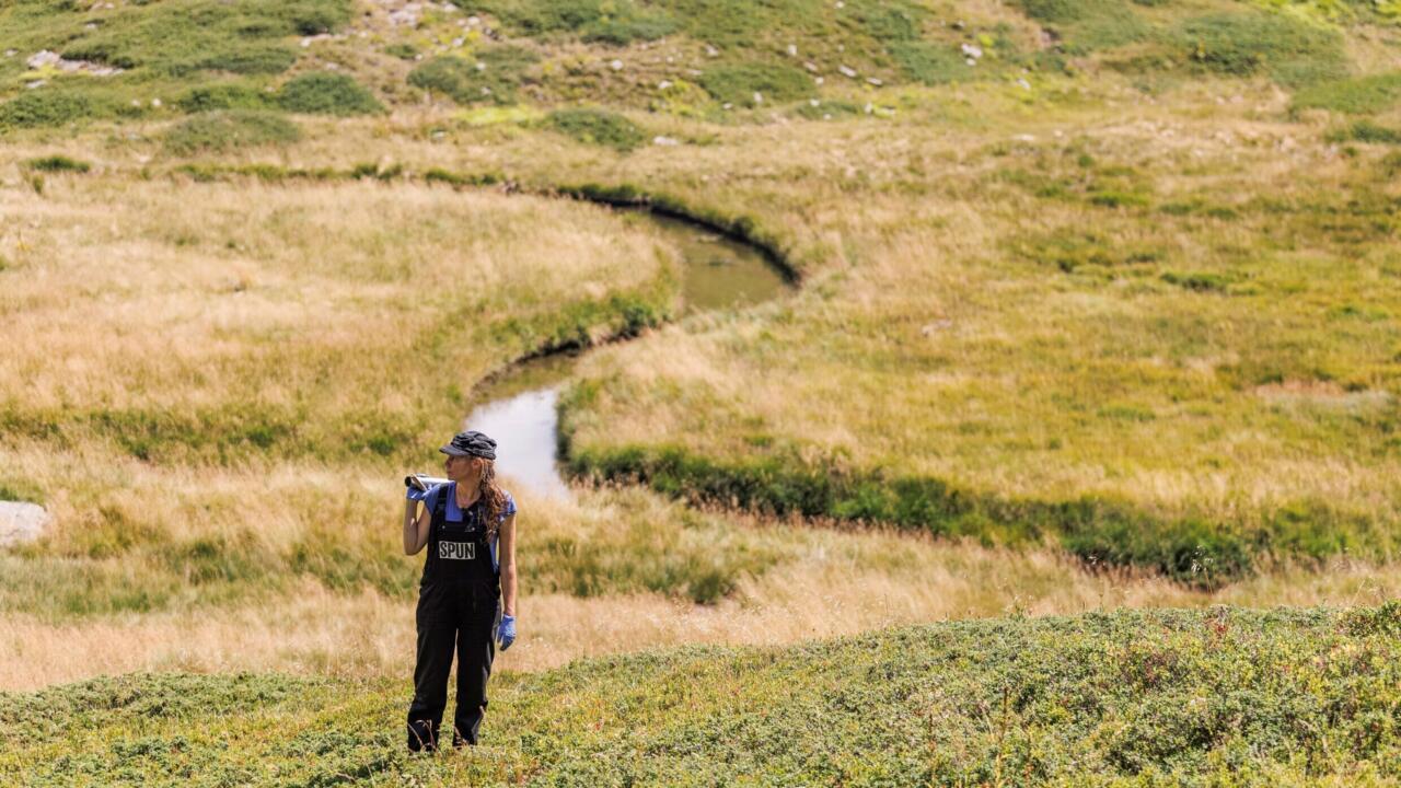 Scientist wins 'Environment Nobel' for shedding light on hidden fungal ...