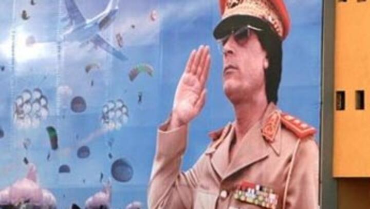 Gaddafi offers Italy privileges