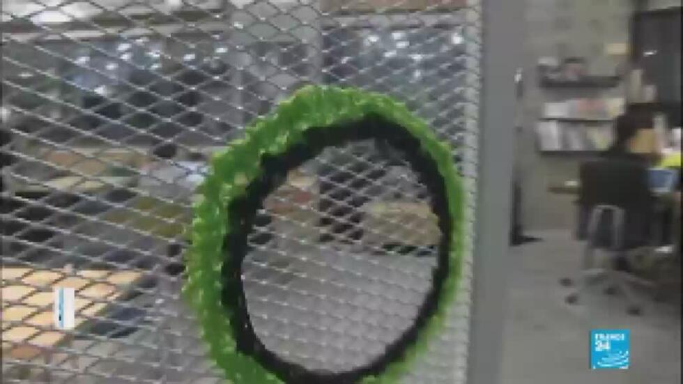 Some 200 women vie for MP posts in Japan's election - France 24