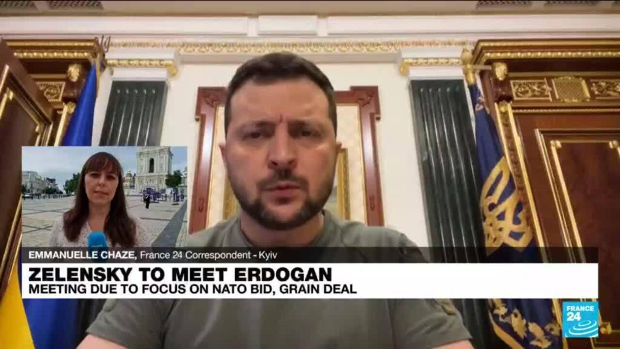 Zelensky's Turkey visit to focus on Ukraine's NATO bid, grain deal ...
