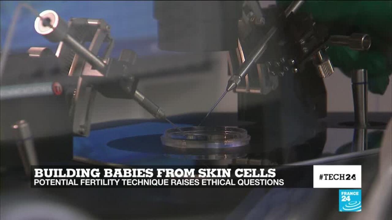 Mice born from two fathers could take human reproduction into new territory