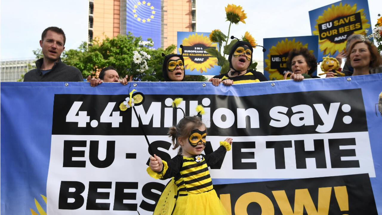 'Victory for bees': European Union approves ban on three pesticides ...