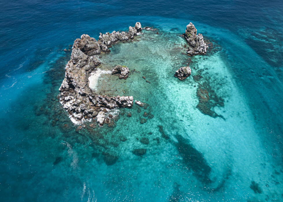 Greenpeace calls for high seas protected area in Galapagos