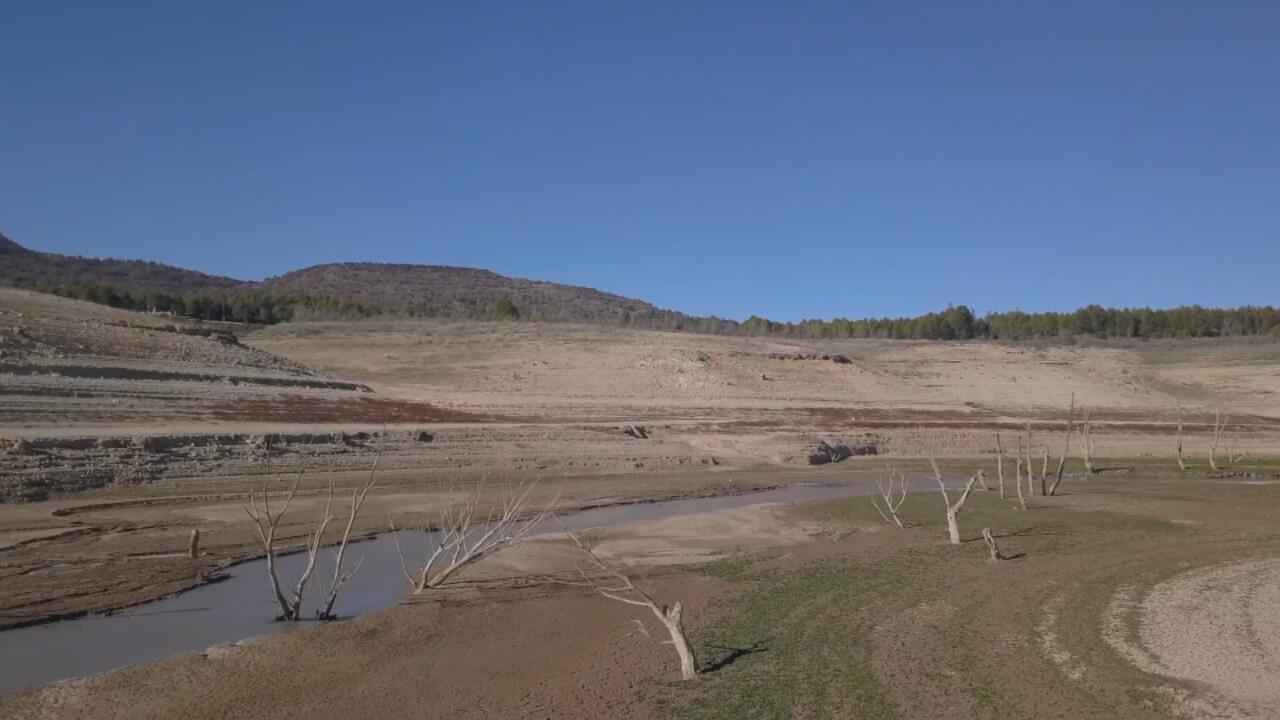 Fighting desertification in Spain: The battle is on - Focus