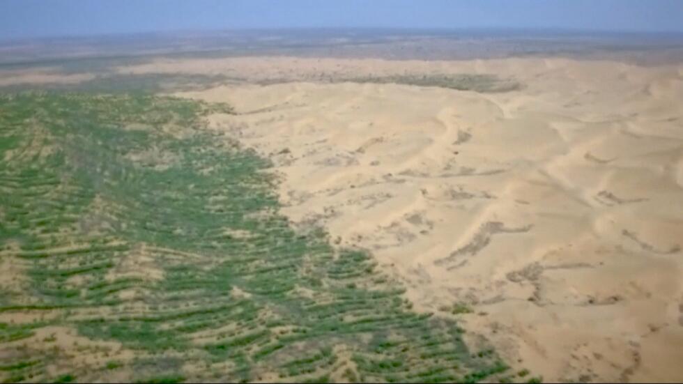 China's 'Great Green Wall': Country battles large-scale desertification ...