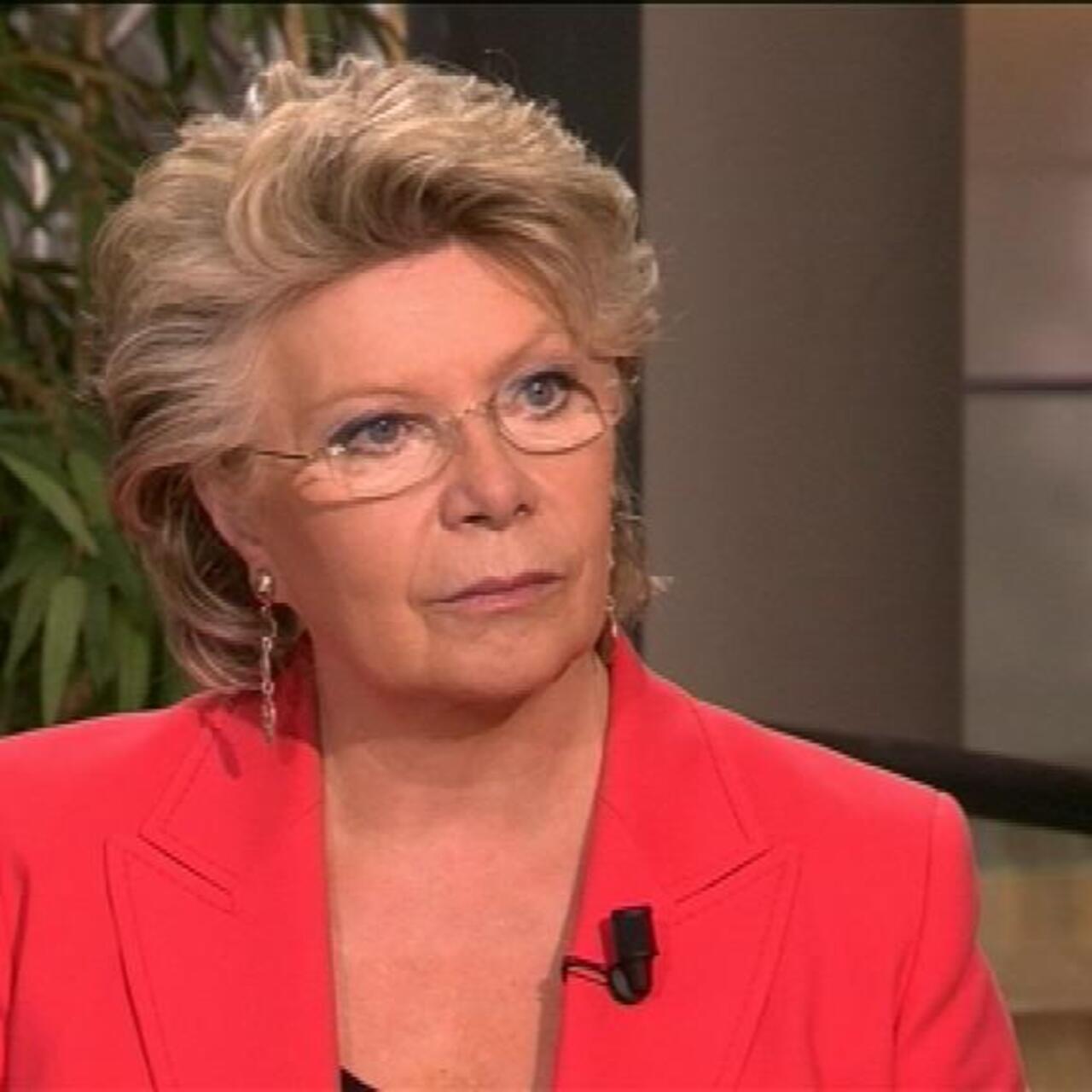 Viviane Reding's Instagram, Twitter & Facebook on IDCrawl