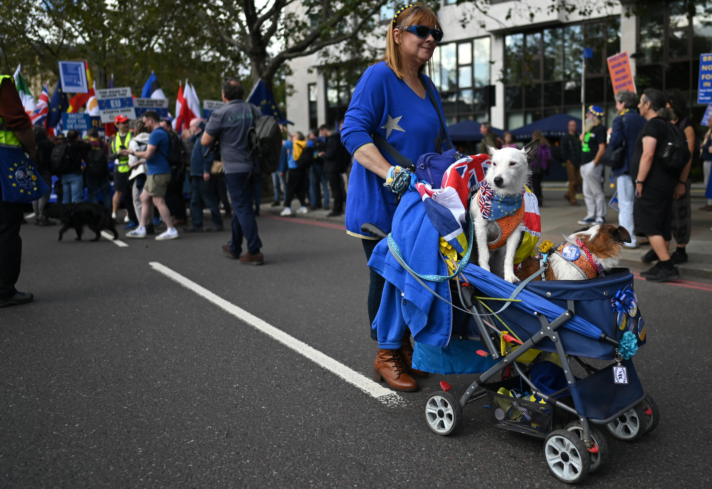 Pro-EU supporters march for Britain to rejoin bloc