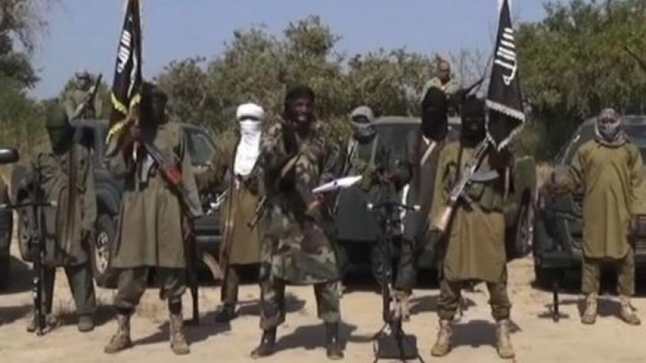 Dozens killed in suspected Boko Haram raid in northern Nigeria