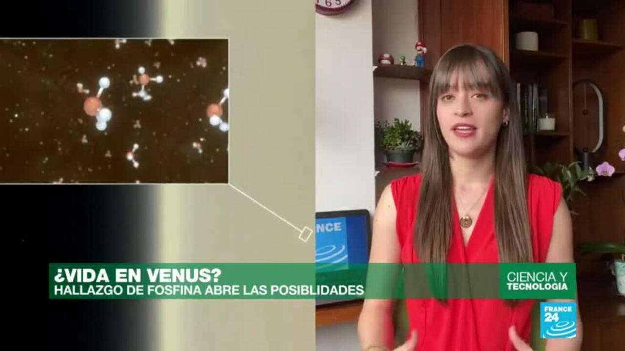 ¿Cuál es el hallazgo que sugiere la posibilidad de vida en Venus ...