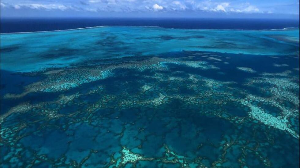Home to world's largest lagoon, New Caledonia bets on sustainable ...