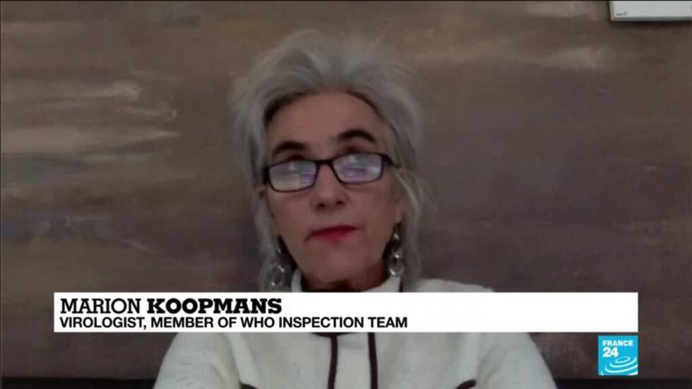 Covid-19 pandemixc: WHO team arrives in China for virus investigation ...