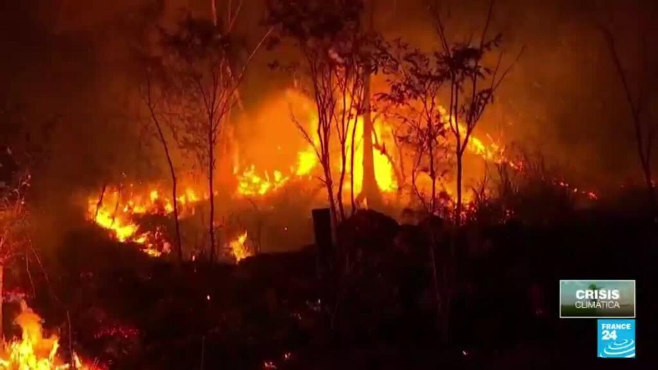 Miles de hectáreas han sido consumidas por los incendios en Brasil ...