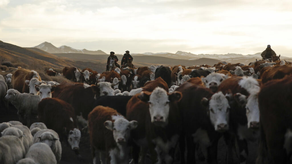 South American bloc to ink long-awaited trade deal with EU