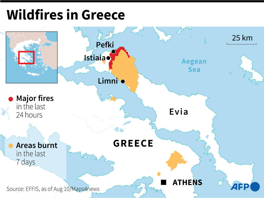 Almost 100,000 hectares of forest burned in Greek fires - France 24