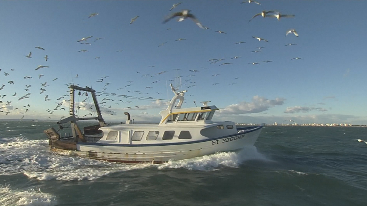 Fishing in France's Grau du Roi harbour, a family tradition - You are here