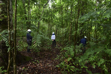 In Brazil, an Amazon reforestation project seeks to redeem carbon markets