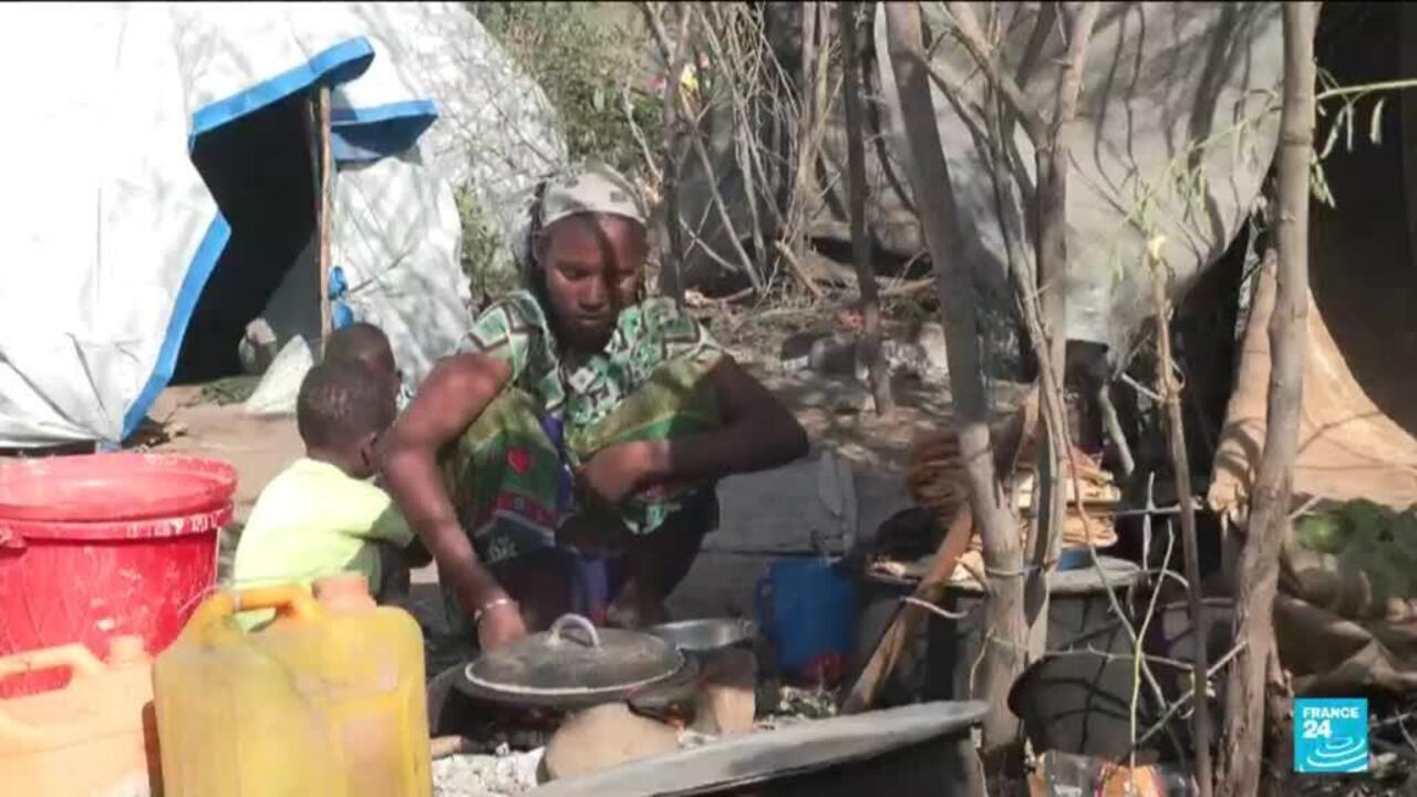 'Survival mode' for families displaced by Ethiopia quakes - France 24