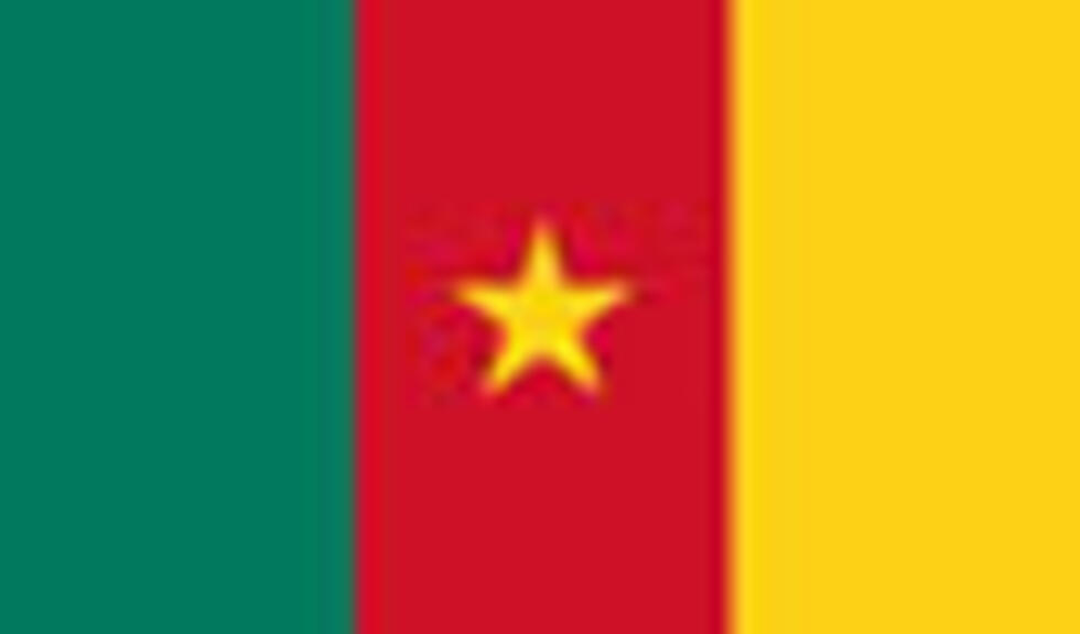 1960: The year of independence - France 24