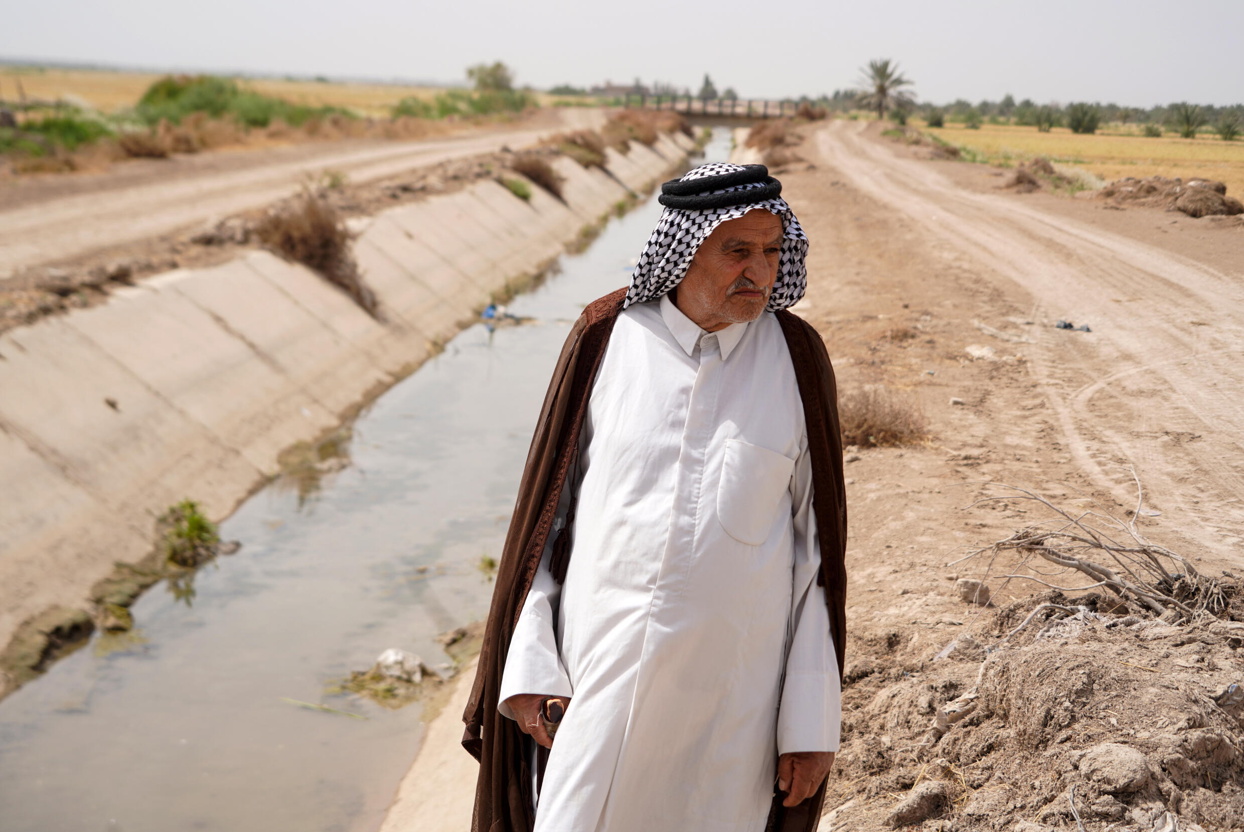 Iraq's prized rice crop threatened by drought