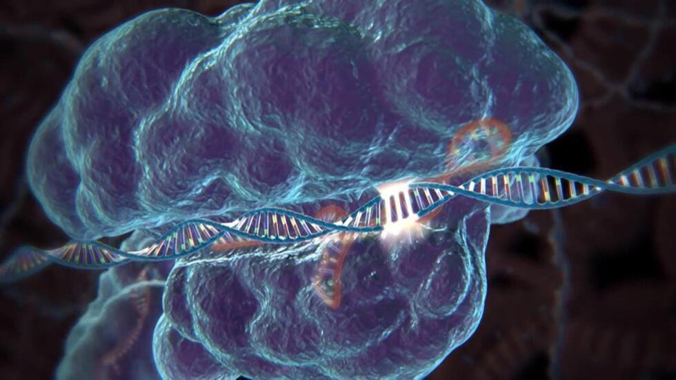 Is a bioterrorist attack possible? - Down to Earth