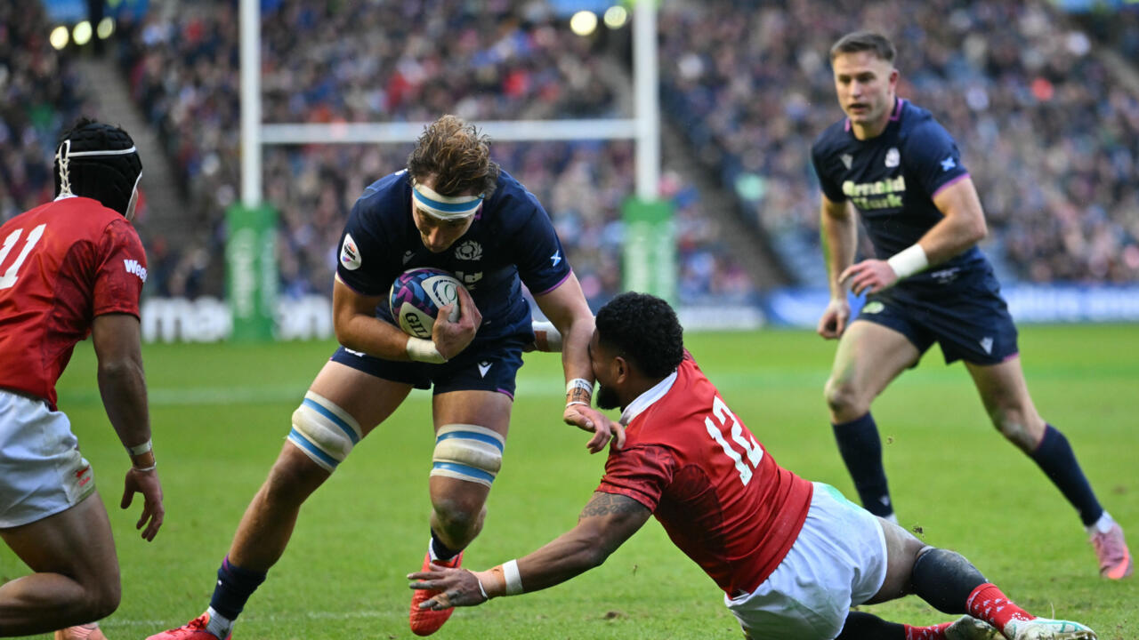 Scotland thrash Tonga in Autumn Nations finale