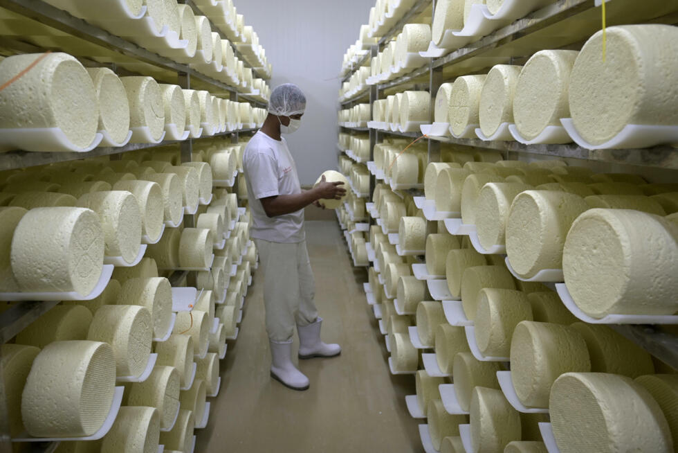 Brazil's unsung craft cheese winning fans in high places