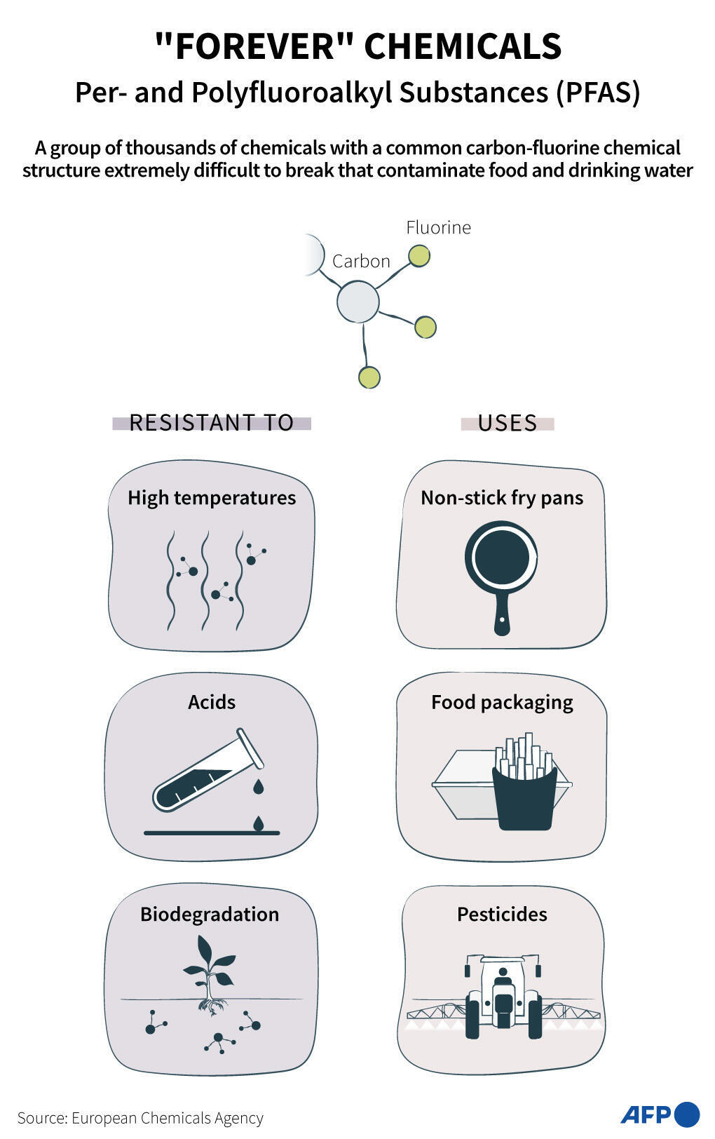 From polar bears to groundwater, nature is riddled with 'forever chemicals'
