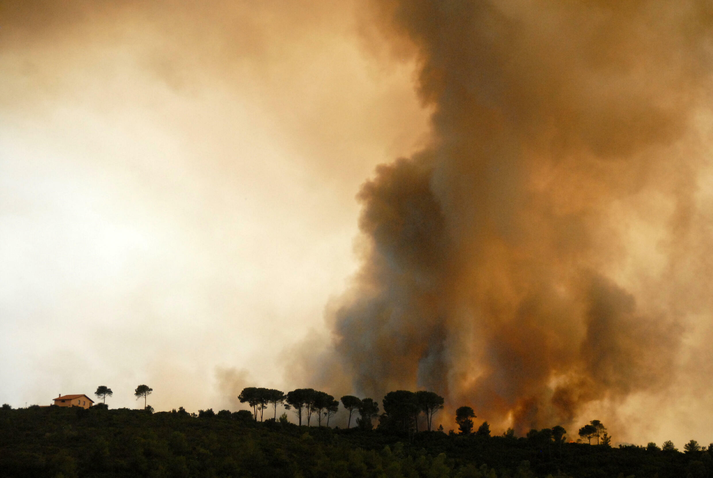 'Countless' animals threatened by fires ravaging Europe - France 24