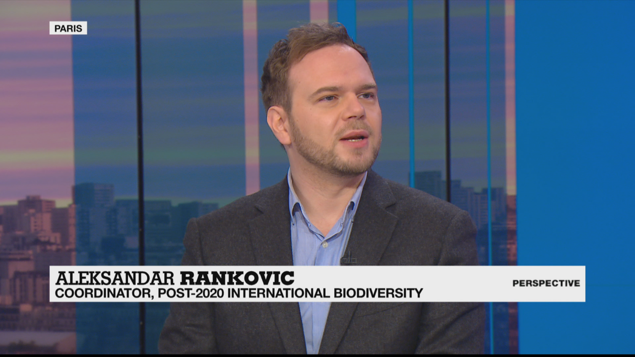 Fighting climate change: The importance of biodiversity - Perspective