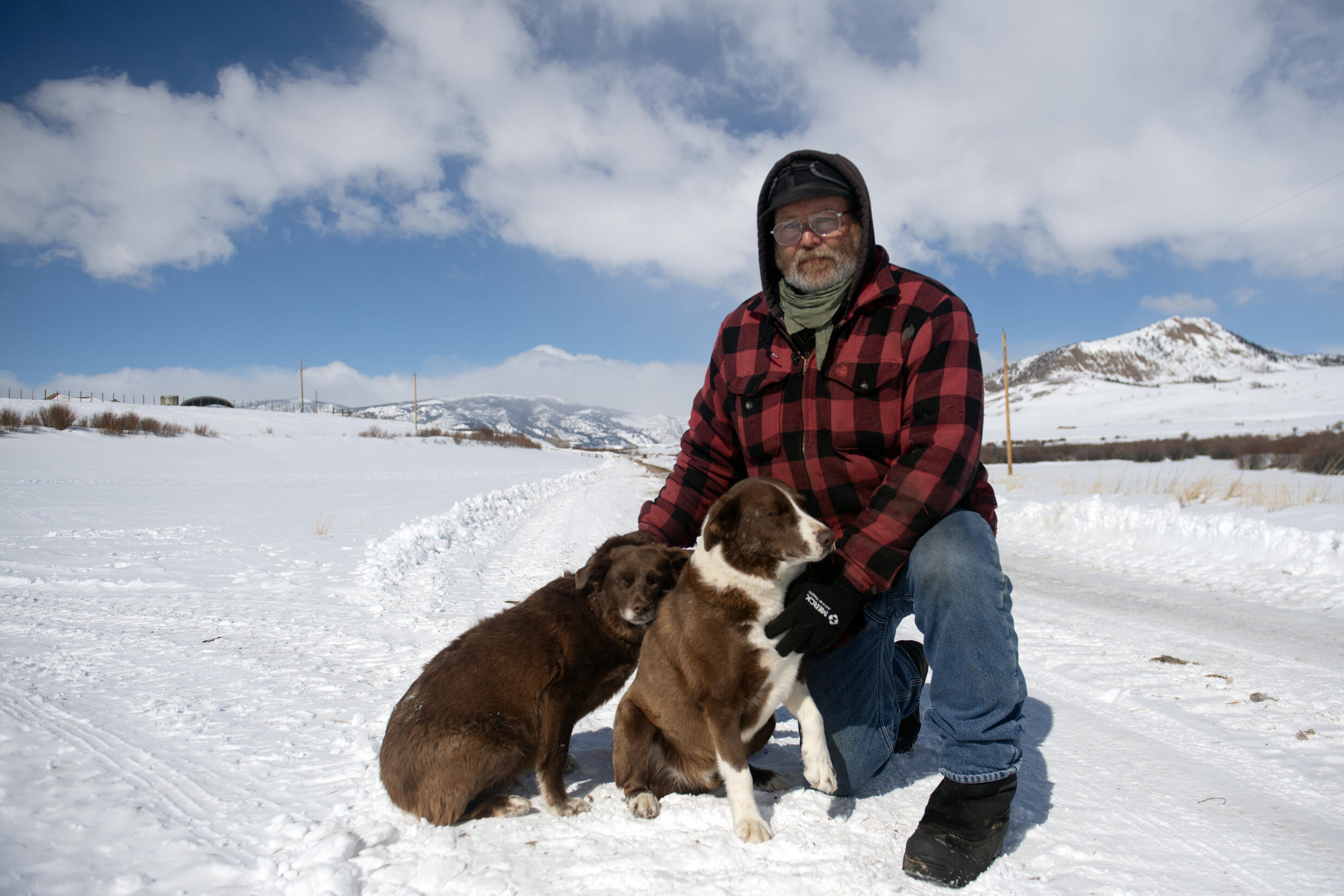 Ranchers battle wolves in Colorado wilds as reintroduction looms
