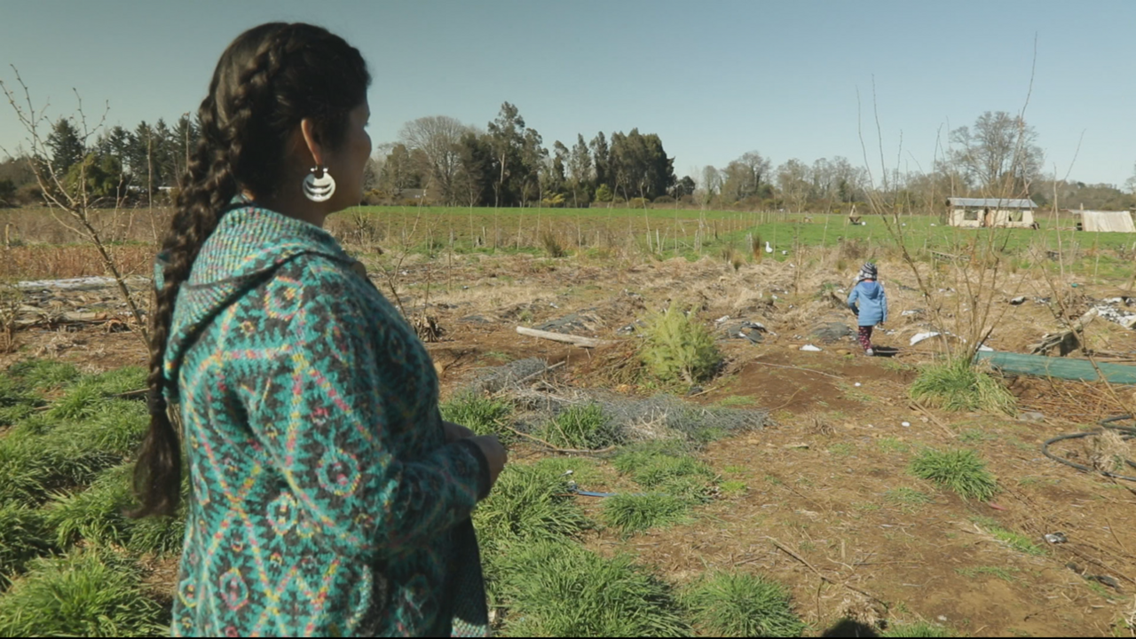 Reporters: Chile’s Mapuche people fighting for their land - Reporters