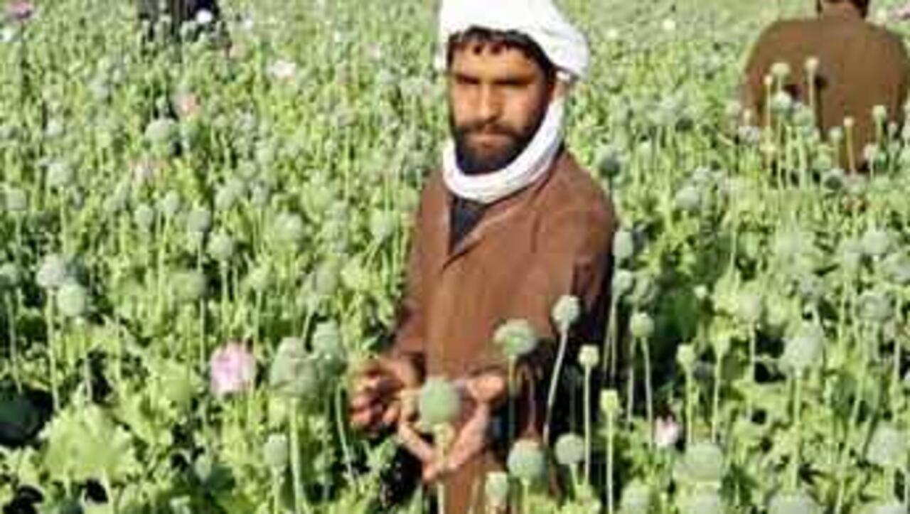 Afghan heroin production hits all-time high